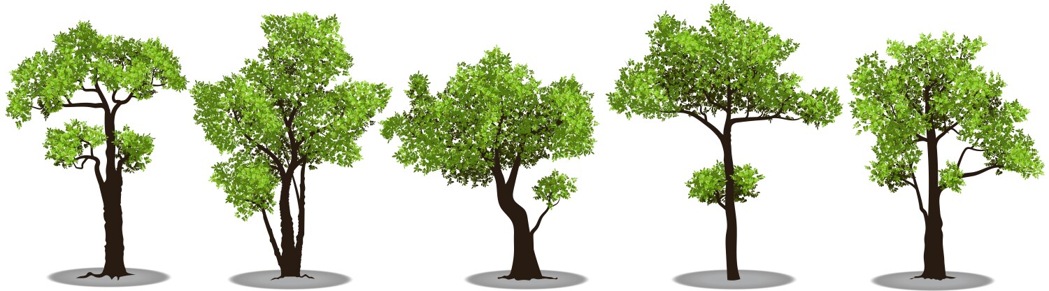 Tree Collection Vector Images (over 170,000)