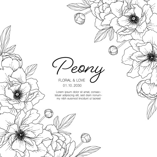 Floral background with pansies and peony Vector Image