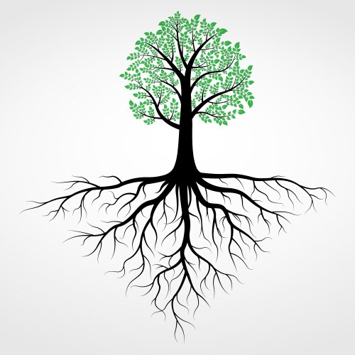 Tree Vector Images (over 1.4 million)