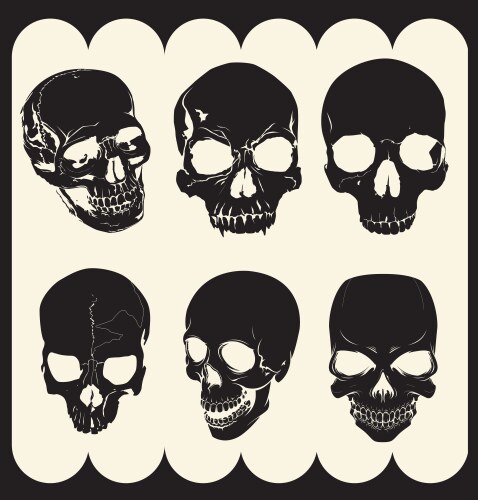 Skulls Vector Images (over 250,000)