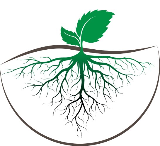 Big tree Royalty Free Vector Image - VectorStock