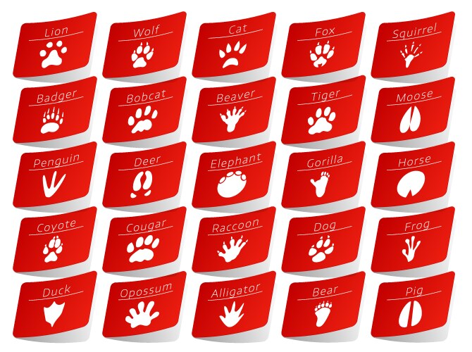 Animal track prints set Royalty Free Vector Image
