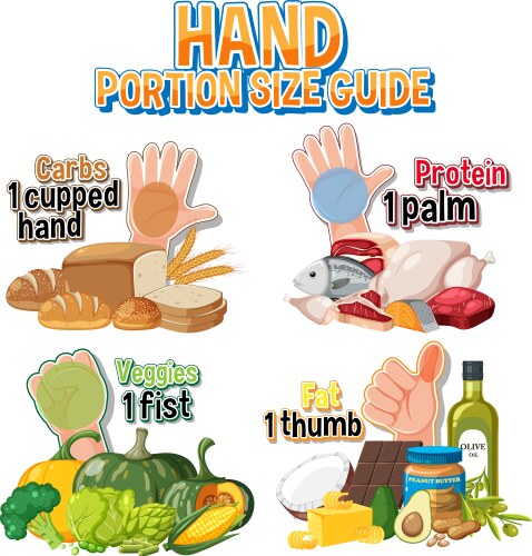 Hand portion size guide for healthy eating Vector Image