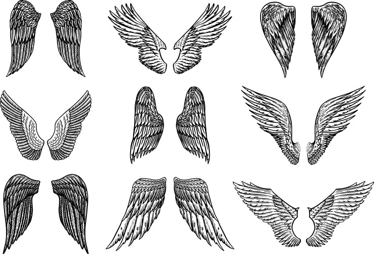 Angel Wing Stencil Vector Images (over 860)