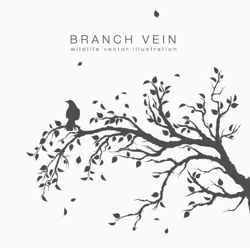 Tree with leaves and birds Royalty Free Vector Image