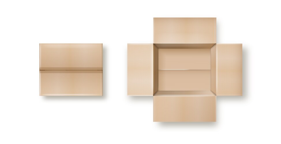Box empty open and closed cardboard Royalty Free Vector