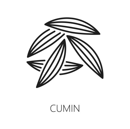 Cumin Vector Images (over 2,100)