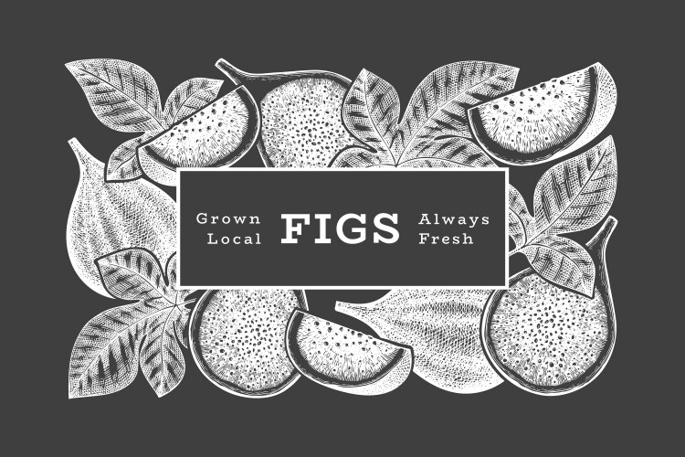 Fig Logo Vector Images (over 1,000)