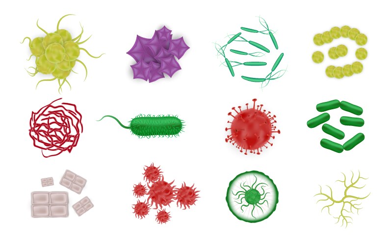 Bacterial Cell Structure Vector Images (over 870)