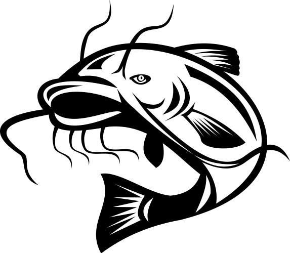 Catfish Black White Vector Images (over 1,500)