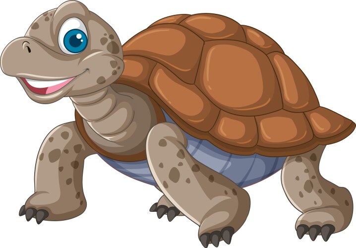 Turtle Cartoon Drawing Vector Images (over 7,300)