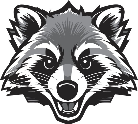 Raccoon Vector Images (over 20,000)