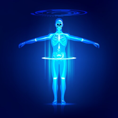 X-ray Royalty Free Vector Image - VectorStock