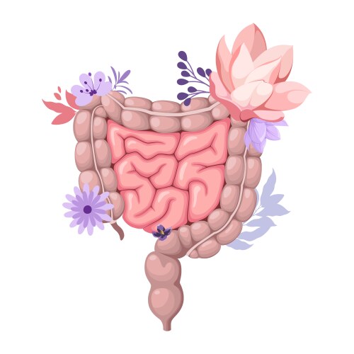 Healthy Appendix Cartoon Vector Images (over 180)