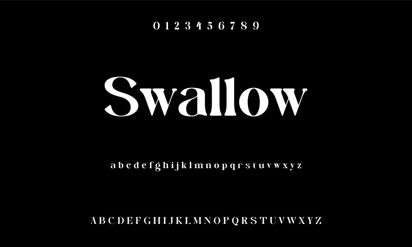 Modern serif alphabet design with uppercase Vector Image