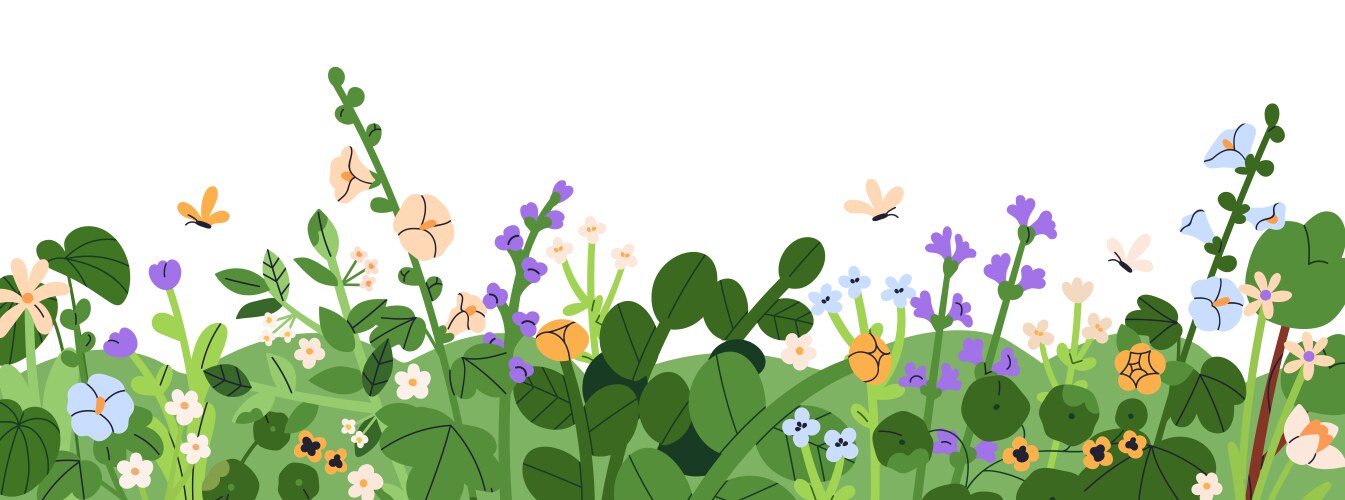 Spring meadow flowers and grass border field Vector Image