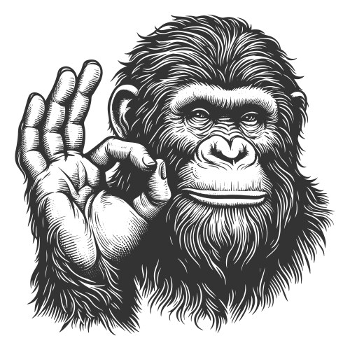 Monkey hand ok gesture sketch engraving Royalty Free Vector