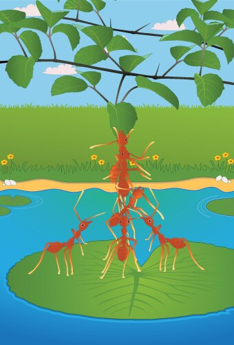 Ant Vector Images (over 15,000)