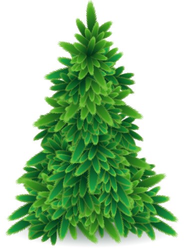 Christmas fir tree isolated Royalty Free Vector Image