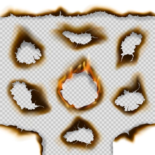 Ash Vector Images (over 22,000)