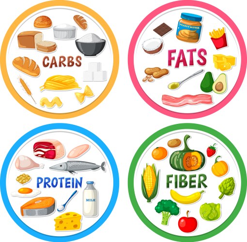 Various food groups in vibrant colors Royalty Free Vector