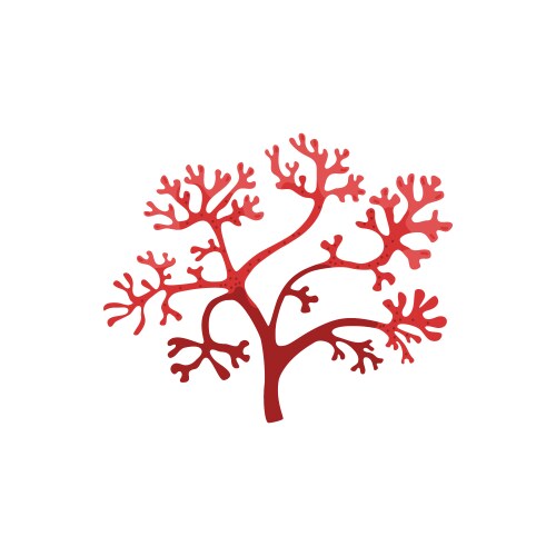 Irish Sea Moss Vector Images (84)