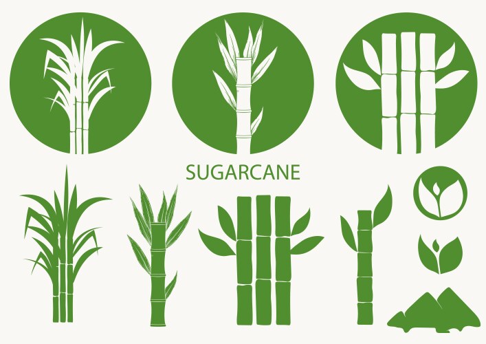 Sugarcane Vector Images (over 4,200)