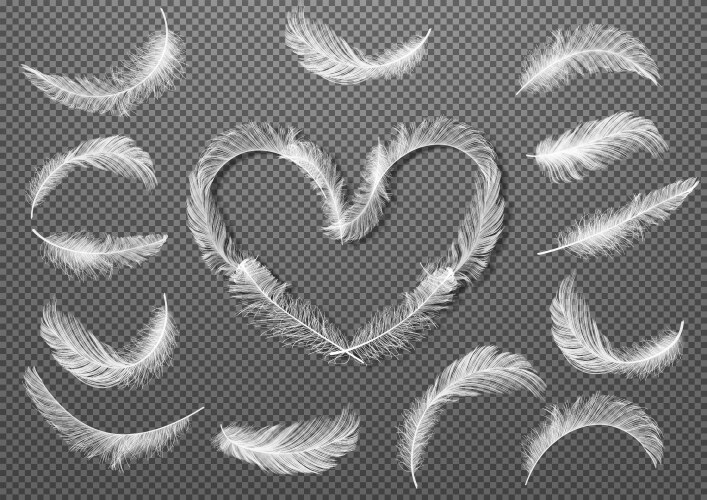 Big set white realistic different fluffy Vector Image