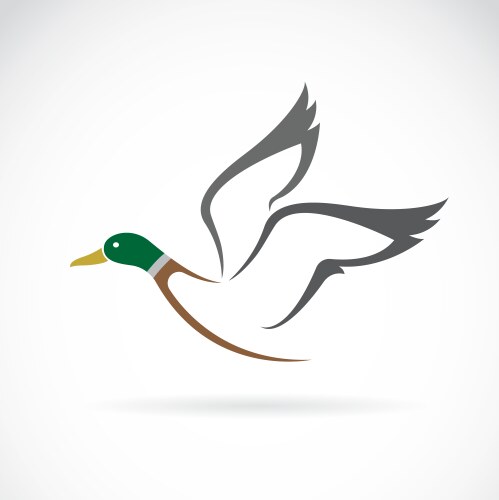 Duck Vector Images (over 60,000)