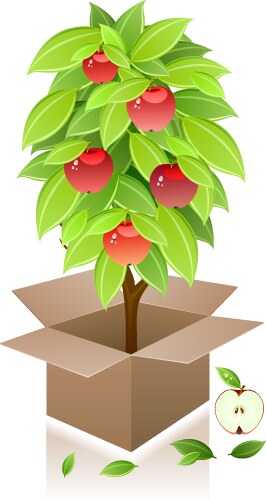 An apple falling from a tree on white background Vector Image