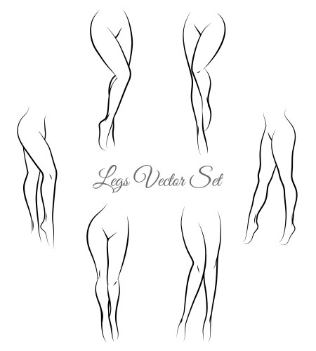 Leg Outline Vector Images (over 35,000)