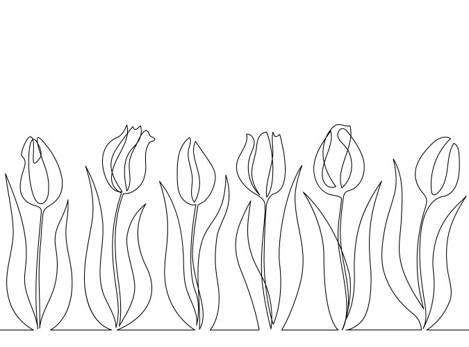 Tulip border Vector Images & Graphics for Commercial Use | VectorStock