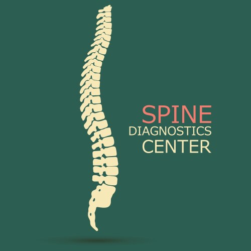 Spine Vector Images (over 32,000)