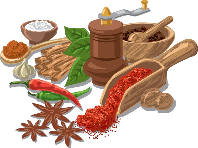 Spices and oil Royalty Free Vector Image - VectorStock