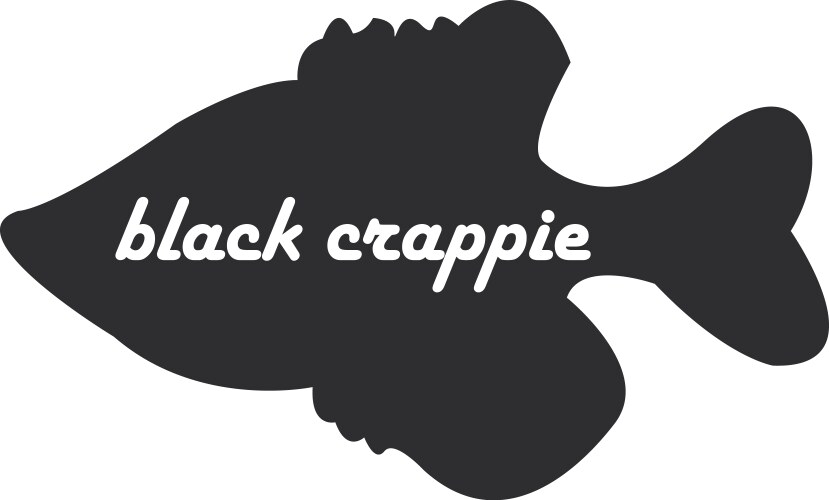 Trout Outline Vector Images (over 2,900)