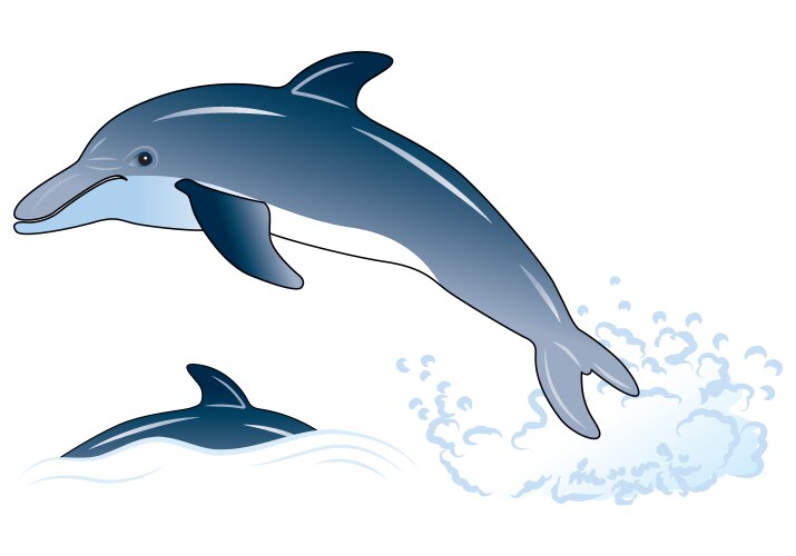 Cute dolphin isolated on a white background Vector Image