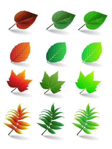 Simple tree leaves icons isolated green Royalty Free Vector
