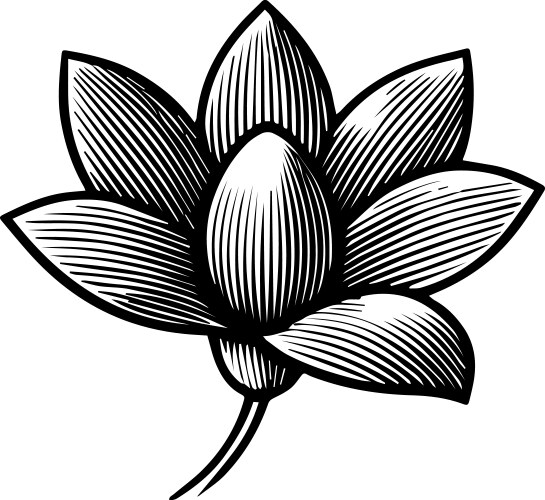 Simple icon of a flor de ceibo logo design Vector Image