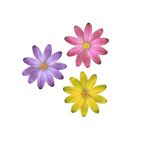 Flowers in eight different colors Royalty Free Vector Image