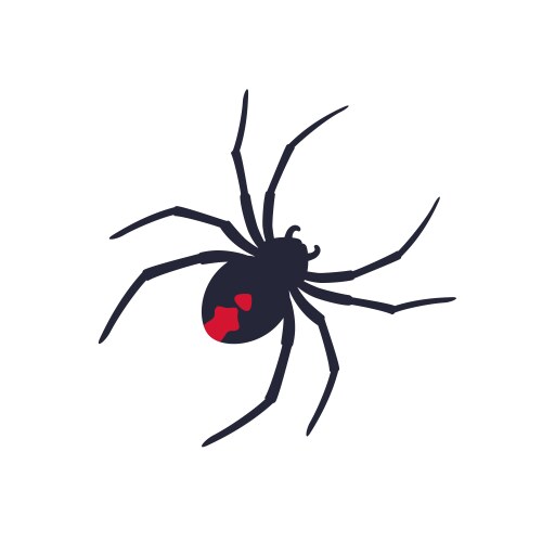 Redback Spider Vector Images (55)