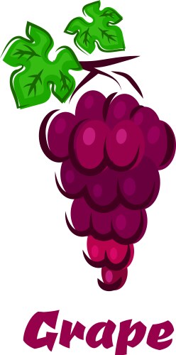 Green grape branch icon cartoon Royalty Free Vector Image