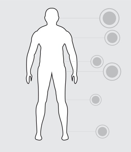 Body Outline Male Vector Images (over 21,000)