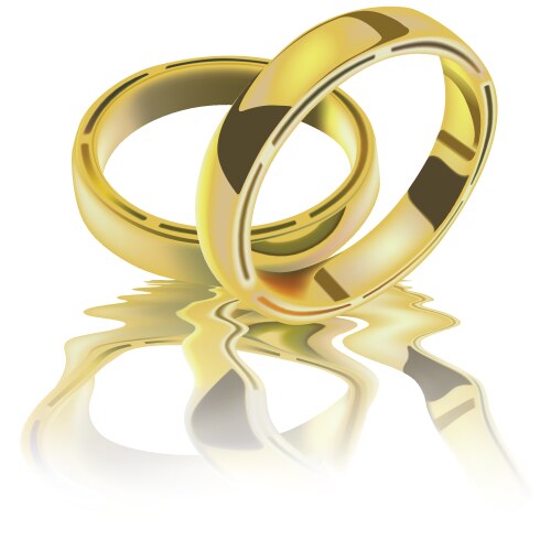 Pair of wedding rings Royalty Free Vector Image