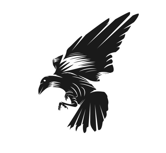 Flying Crow Vector Images (over 5,300)