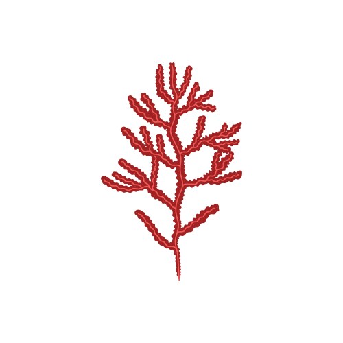Seaweed Vector Images (over 43,000)