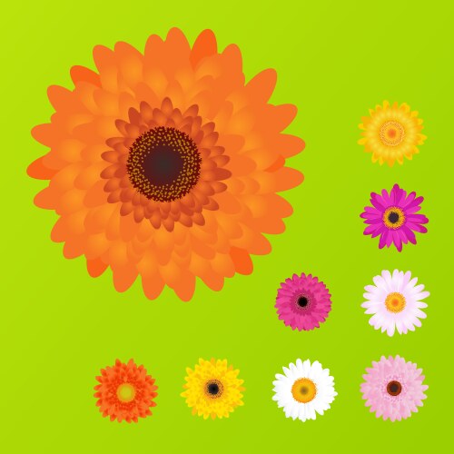 Daisy in pot Royalty Free Vector Image - VectorStock