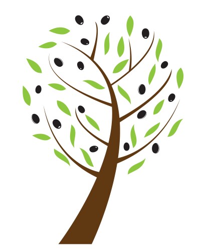 Olive Tree Vector Images (over 250,000)