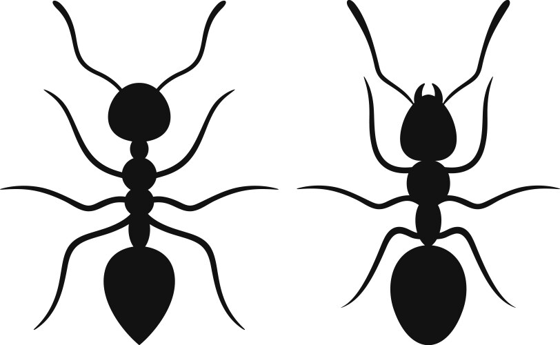 Ant Vector Images (over 18,000)
