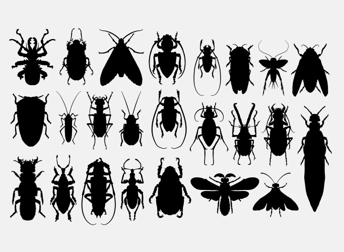Insect Outlines Vector Images (over 52,000)