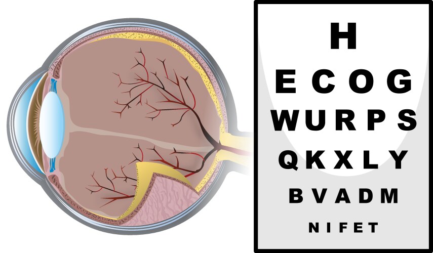 Alphabet Letters with Eye Vector Images (over 12,000)